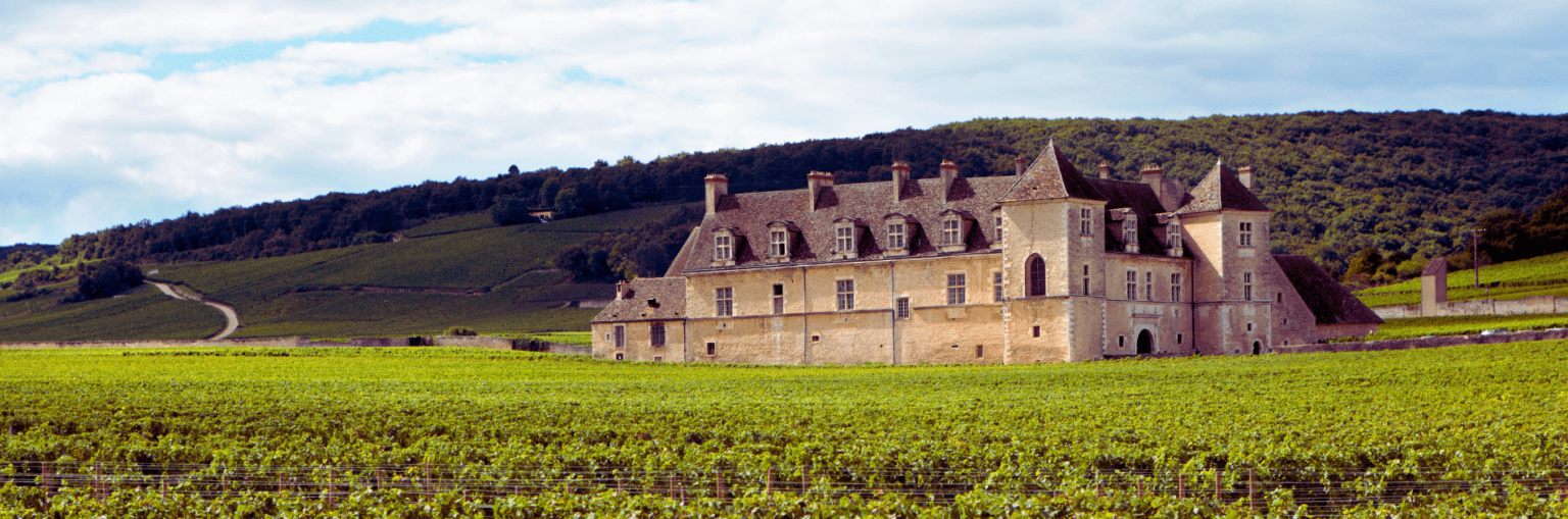 Exploring the Rich History of French Chateaus: A Guide to French Wine ...